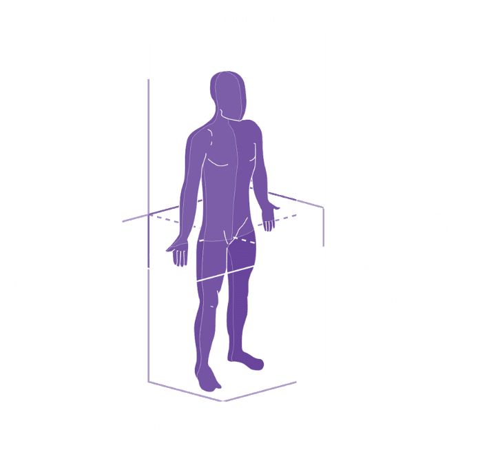 Anatomical Planes & Motions