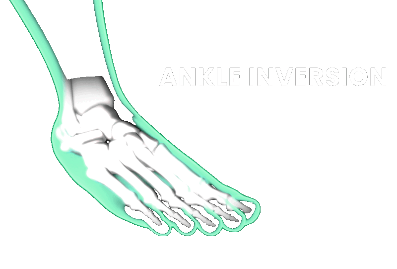 Anatomical Planes & Motions