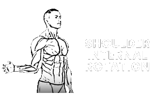 Anatomical Planes & Motions