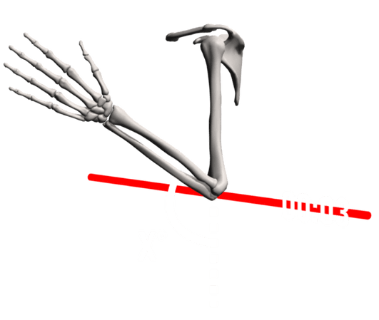 Kinematics of Human Movement